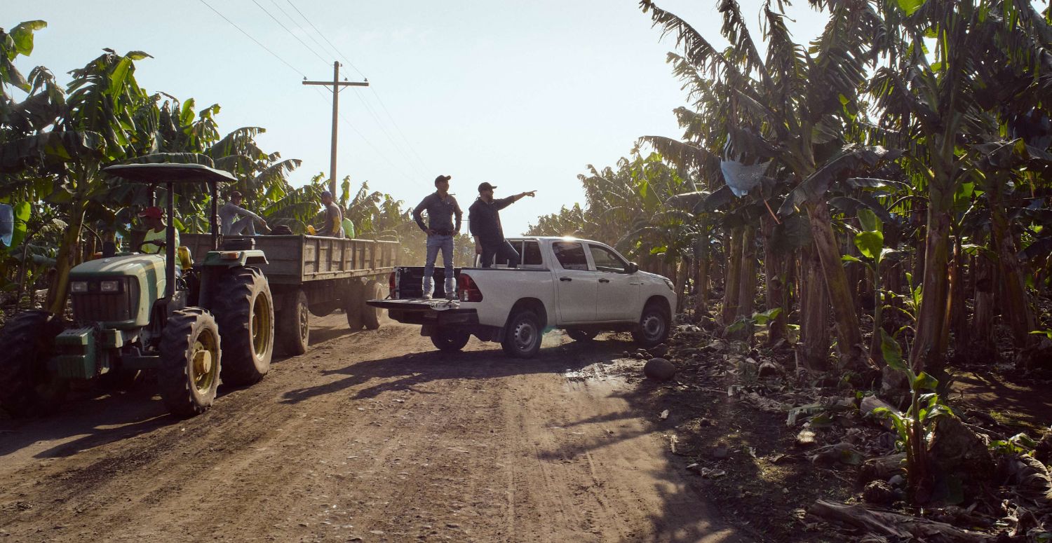 Fortify your plants. Protect your crop. Optimize your farm. | Kata